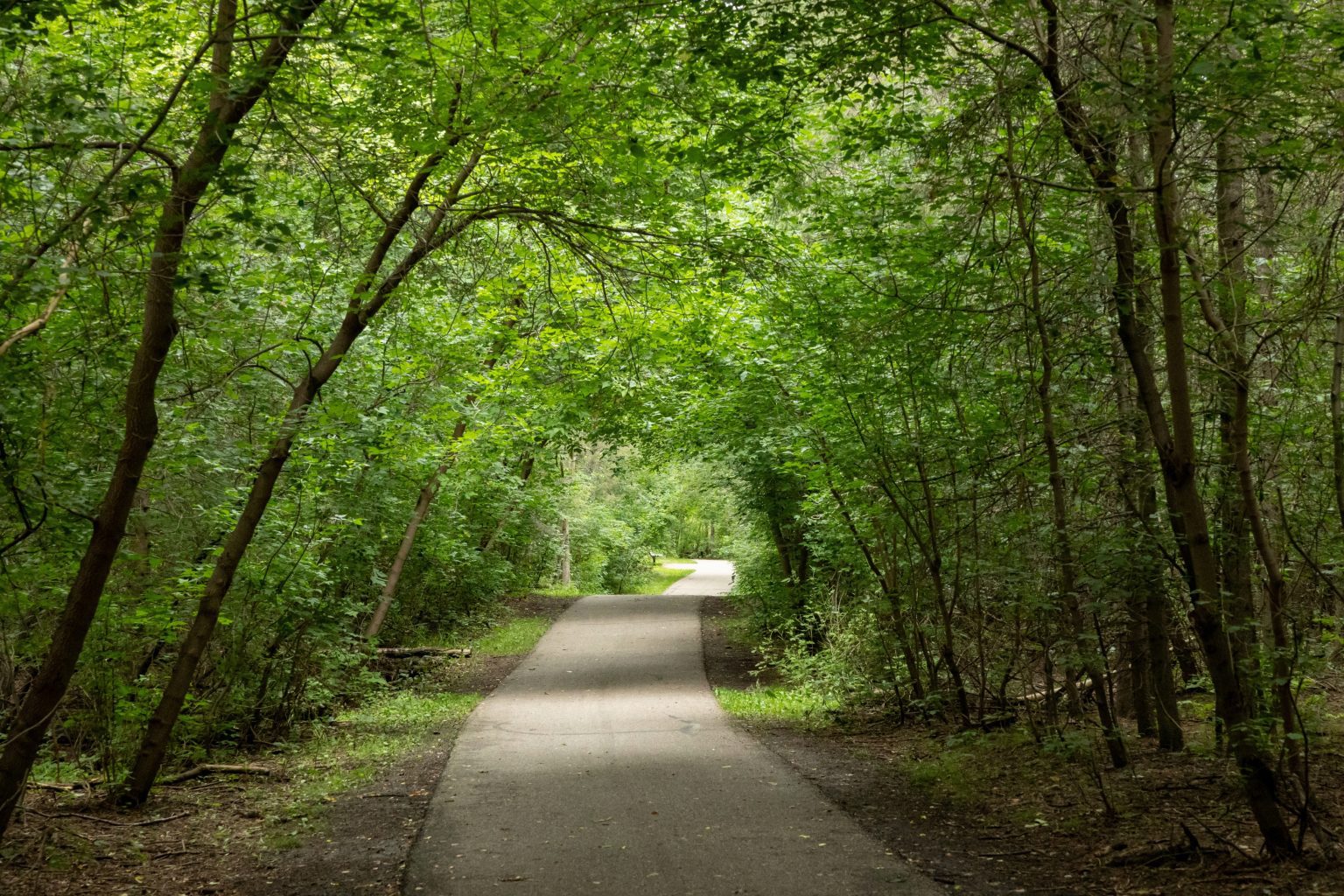 AIC launches new website - Alberta Insurance Council